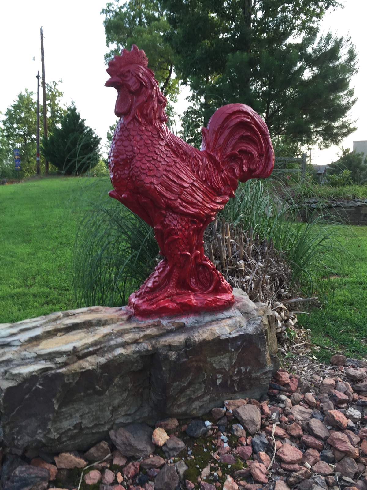Pictures – Red Rooster Retreat
